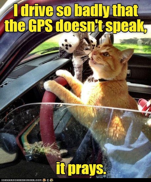The Fast and the Furriest - Lolcats - lol | cat memes | funny cats ...