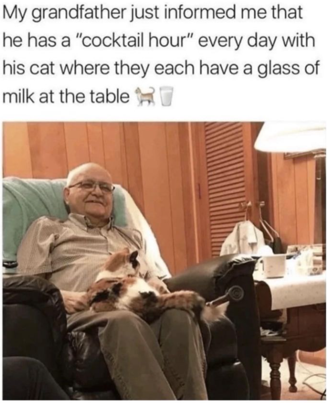 Cocktail hour - I Can Has Cheezburger?