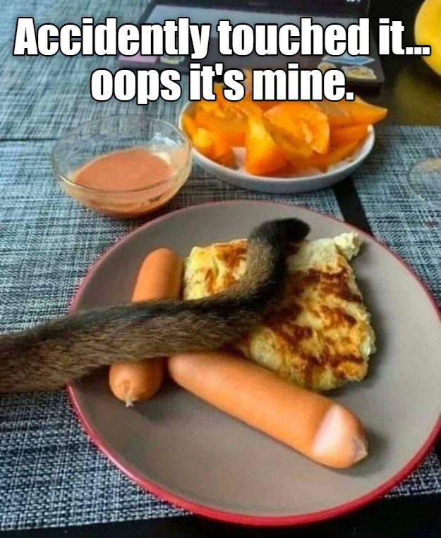 5 second rule (If I touched it for 5 seconds, it's mine) - Lolcats ...