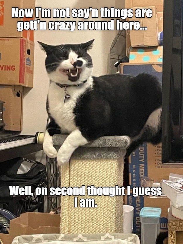 All these boxes and none of them are empty - Lolcats - lol | cat memes ...