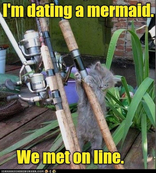 That story sounds fishy. - Lolcats - lol | cat memes | funny cats ...