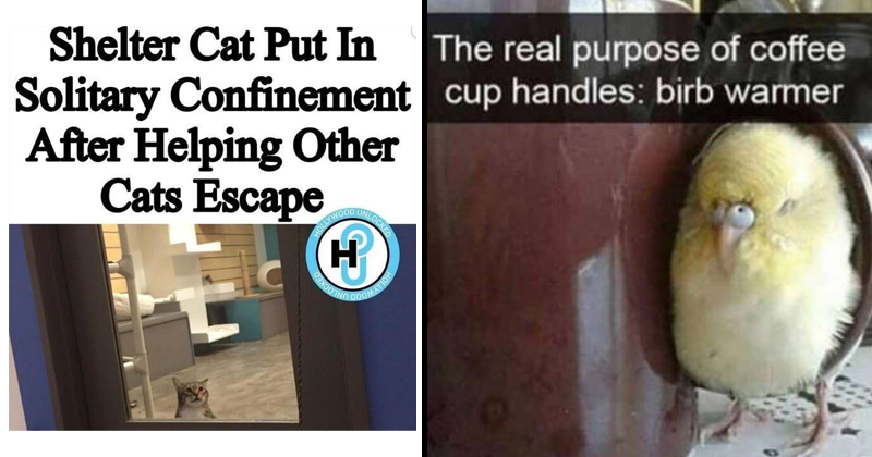 Blessed Images To Help Soften Reality's Bite - Memebase - Funny Memes