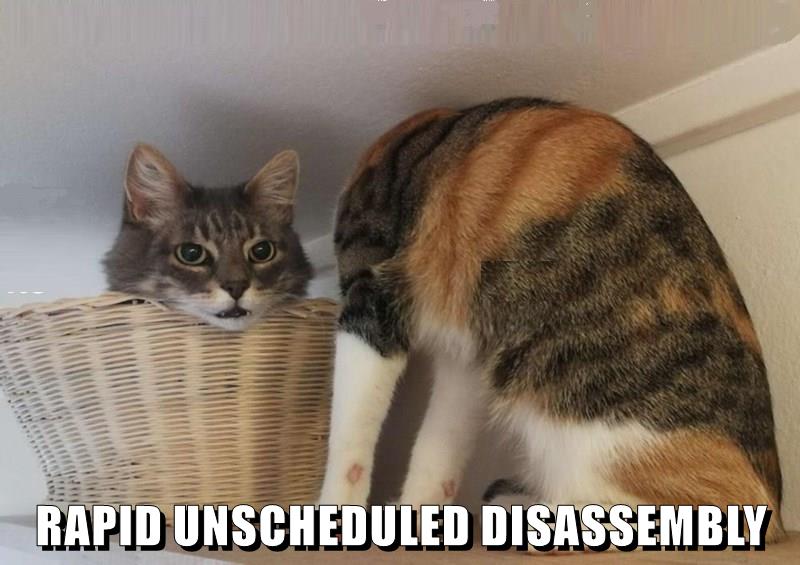 RAPID UNSCHEDULED DISASSEMBLY - Lolcats - lol | cat memes | funny cats ...