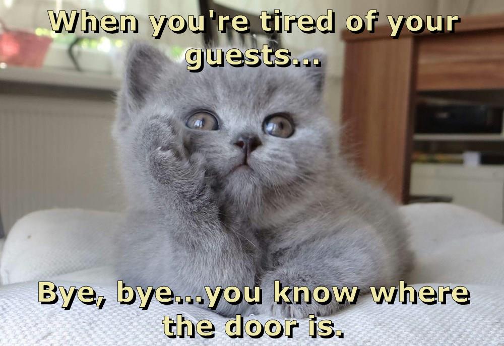 Bye, bye... - Lolcats - lol | cat memes | funny cats | funny cat pictures with words on them ...