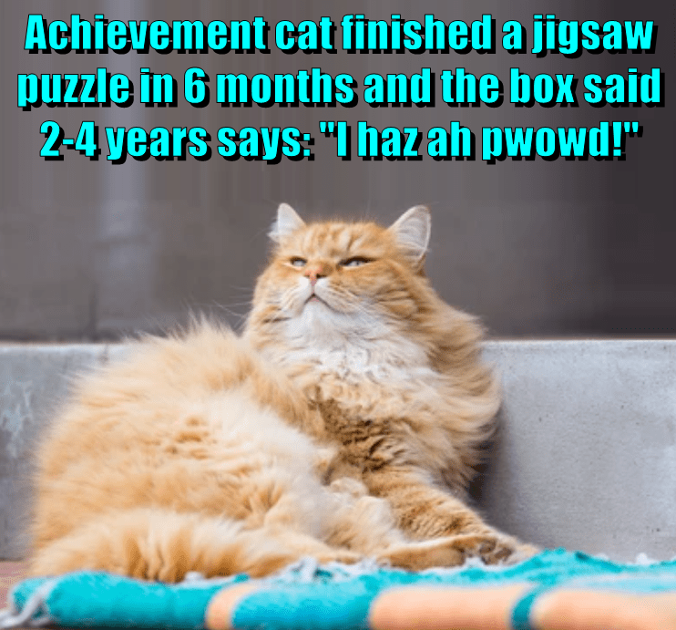 Good job little guy - Lolcats - lol | cat memes | funny cats | funny ...