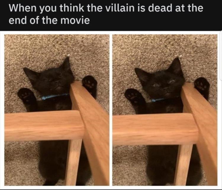 He still has one life left - I Can Has Cheezburger?