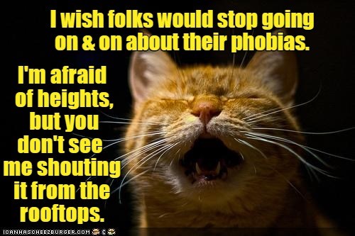 I'm also afraid you won't shut up already. - Lolcats - lol | cat memes ...