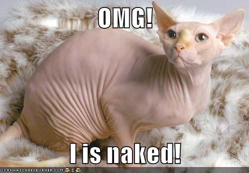 And fabulous! - Lolcats - lol | cat memes | funny cats | funny cat ...