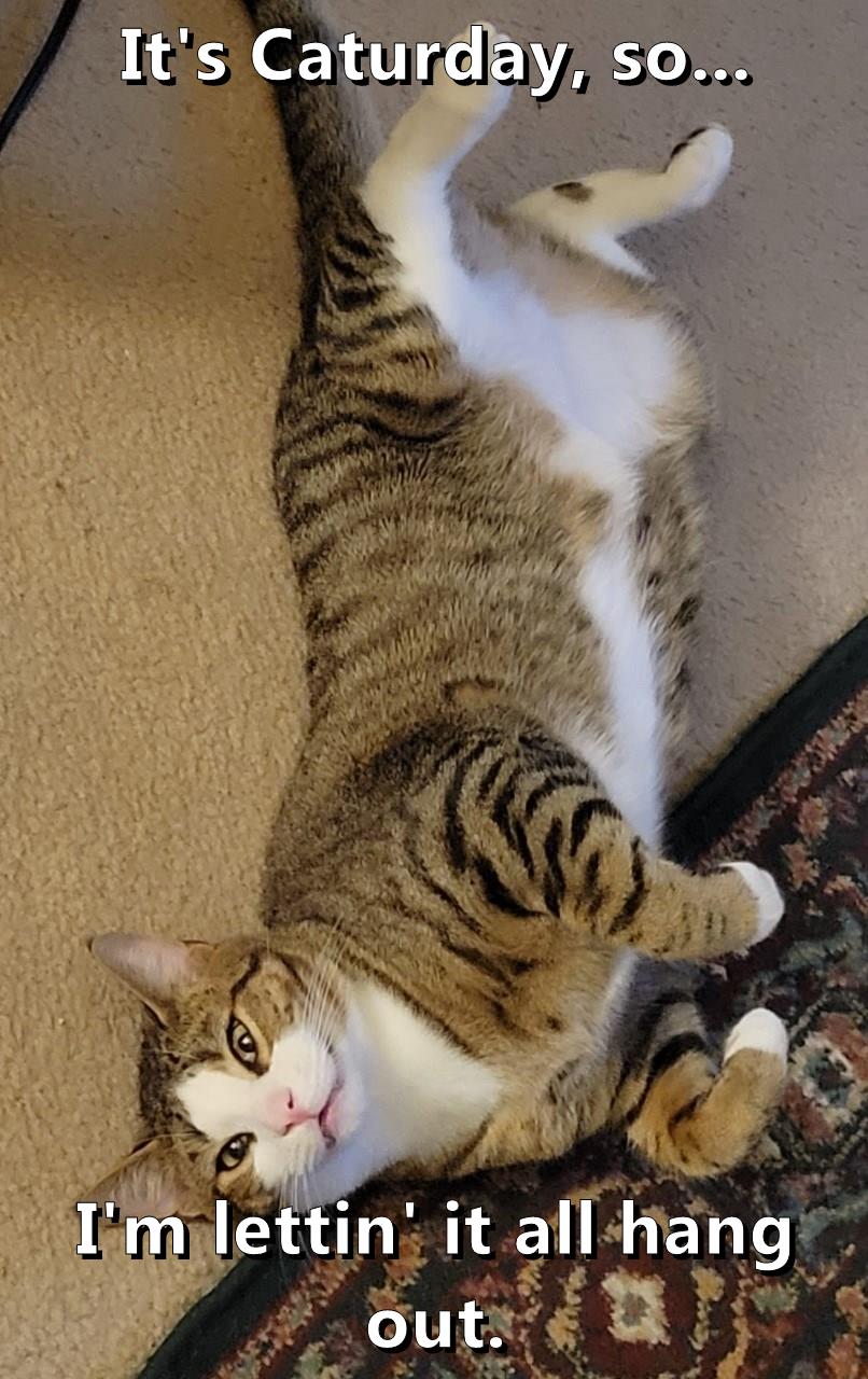 After that we'll take 6 consecutive naps - Lolcats - lol | cat memes ...