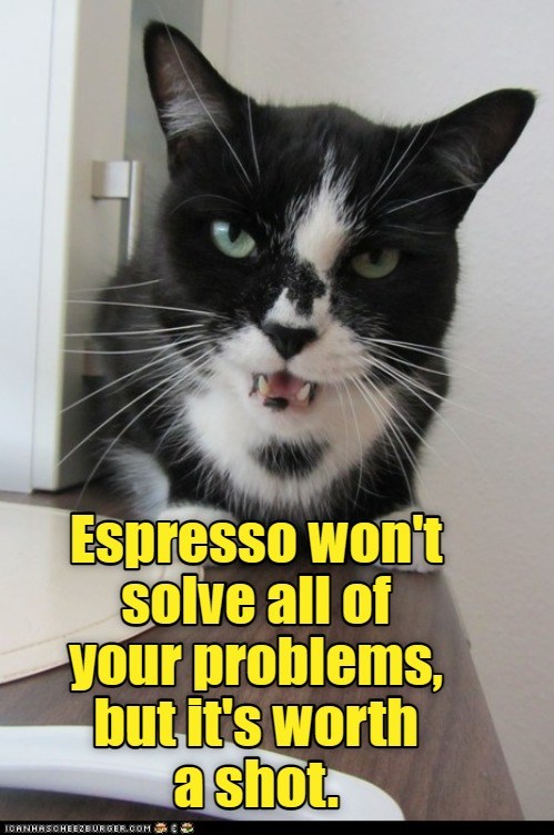 Try it, you'll like it. - Lolcats - lol | cat memes | funny cats ...