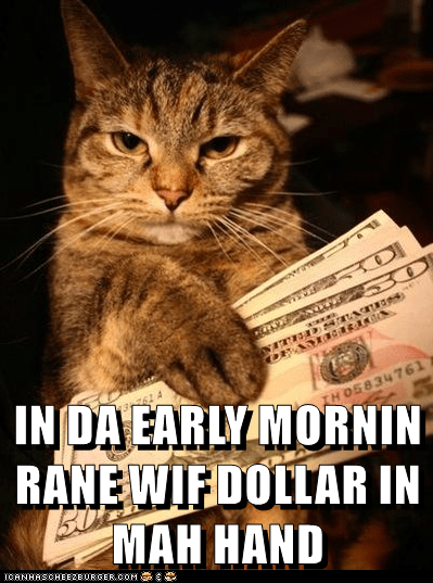 He's got 9 kittens to support - Lolcats - lol | cat memes | funny cats ...