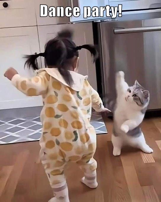 Dance party! - Lolcats - lol | cat memes | funny cats | funny cat ...