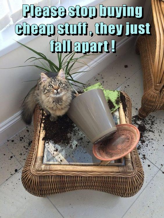 They just fall apart! - Lolcats - lol | cat memes | funny cats | funny ...