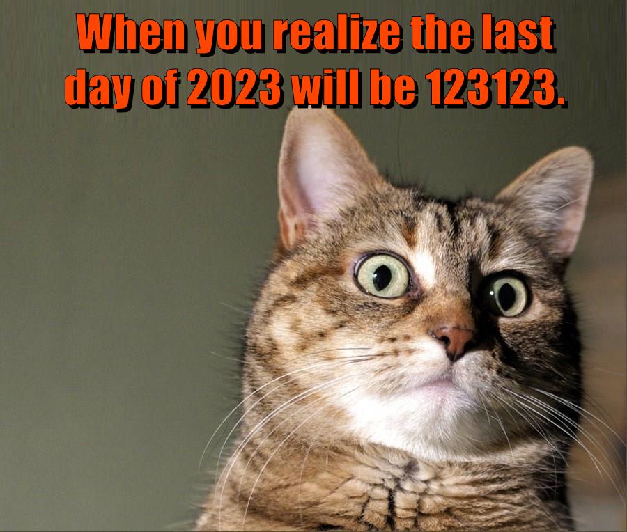 When you realize - Lolcats - lol | cat memes | funny cats | funny cat ...