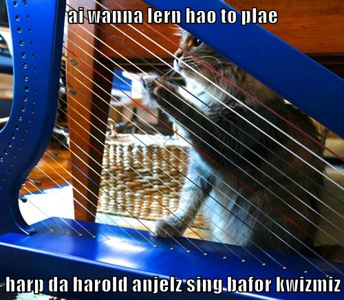 ai wanna lern hao to plae harp da harold anjelz sing bafor kwizmiz ...