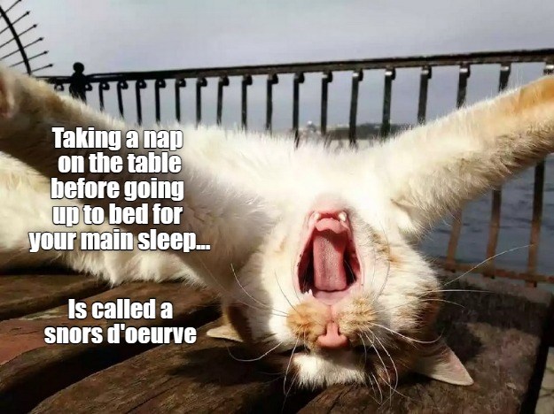 I'll Just Take One More - Lolcats - lol | cat memes | funny cats ...