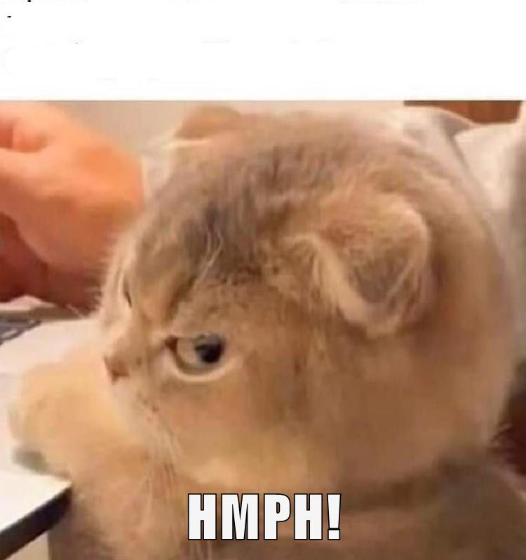 "Silent" communication - Lolcats - lol | cat memes | funny cats | funny ...