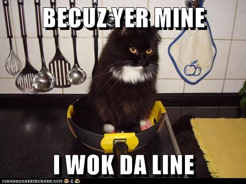New kitchen pans come free with kitty - Lolcats - lol | cat memes ...