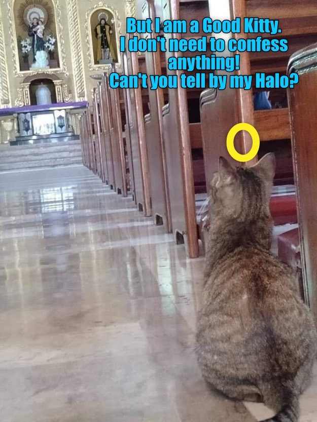They Say That Confession Is Good For The Soul. - Lolcats - lol | cat ...