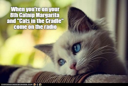 I'm Sad Now - Lolcats - lol | cat memes | funny cats | funny cat ...