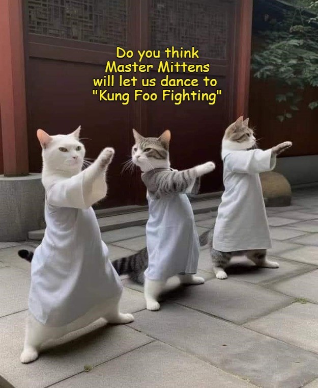 Silence, Nom Hopper - Lolcats - lol | cat memes | funny cats | funny ...