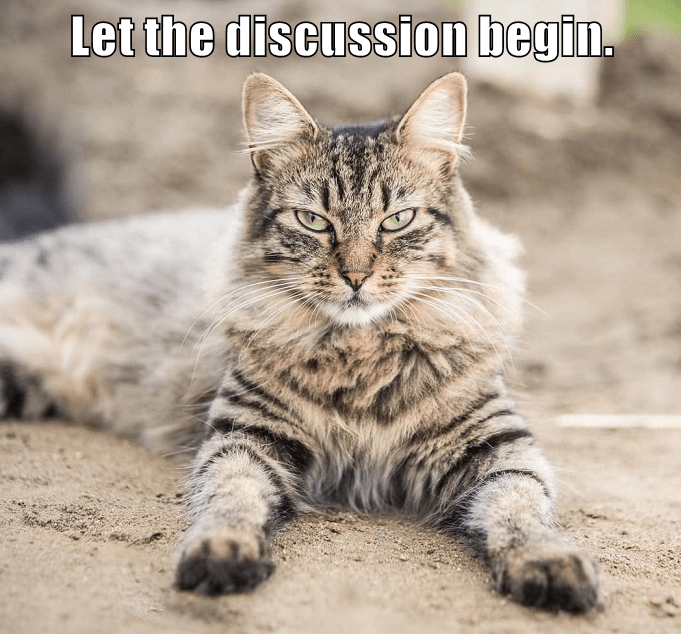 It's over when I say it's over - Lolcats - lol | cat memes | funny cats ...