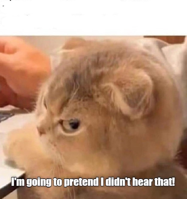 Say it one more time and the danger mittens come out - Lolcats - lol ...