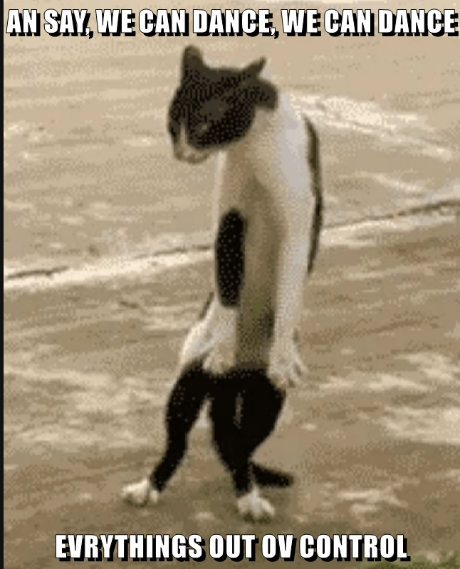 Dance! - Lolcats - lol | cat memes | funny cats | funny cat pictures ...