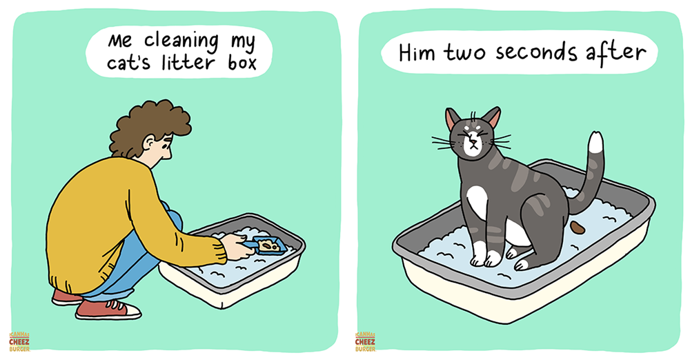 Litter box - I Can Has Cheezburger?