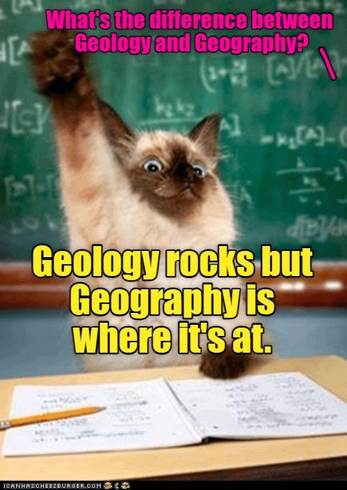 Quite literally. - Lolcats - lol | cat memes | funny cats | funny cat ...