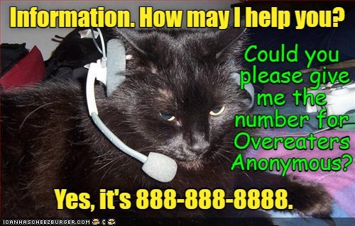 Makes perfect sense. - Lolcats - lol | cat memes | funny cats | funny ...