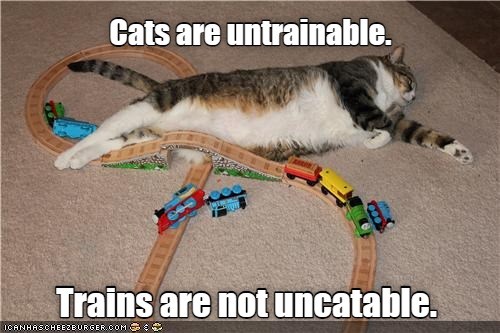 Doesn't seem fair... - Lolcats - lol | cat memes | funny cats | funny ...