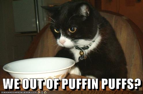 No puffins were harmed in the making of these puffs - Lolcats - lol ...