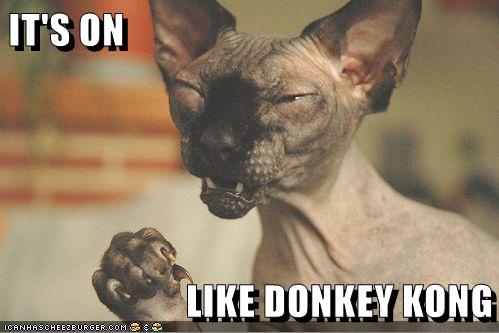 Phrases from the 2000's for $300, please - Lolcats - lol | cat memes ...