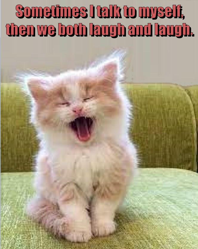 I'm my own target audience - Lolcats - lol | cat memes | funny cats ...