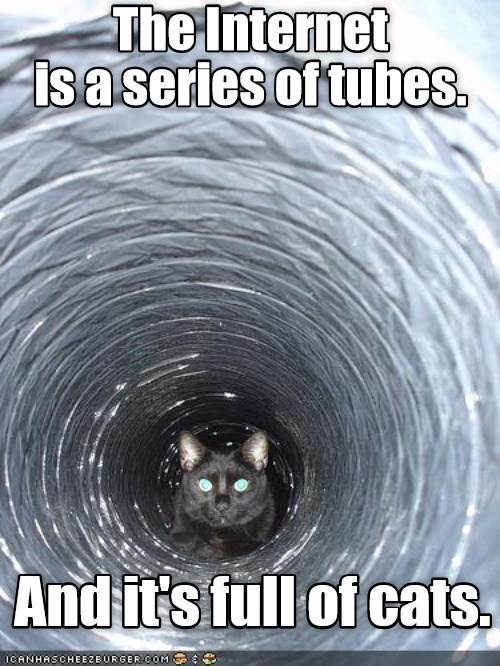 A Series of Tubes - Lolcats - lol | cat memes | funny cats | funny cat ...