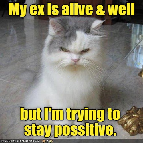 We're over it, totally - Lolcats - lol | cat memes | funny cats | funny ...