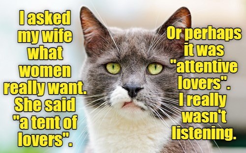 Close enough. - Lolcats - lol | cat memes | funny cats | funny cat ...