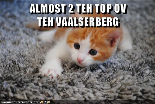Almost 2 teh top - Lolcats - lol | cat memes | funny cats | funny cat ...