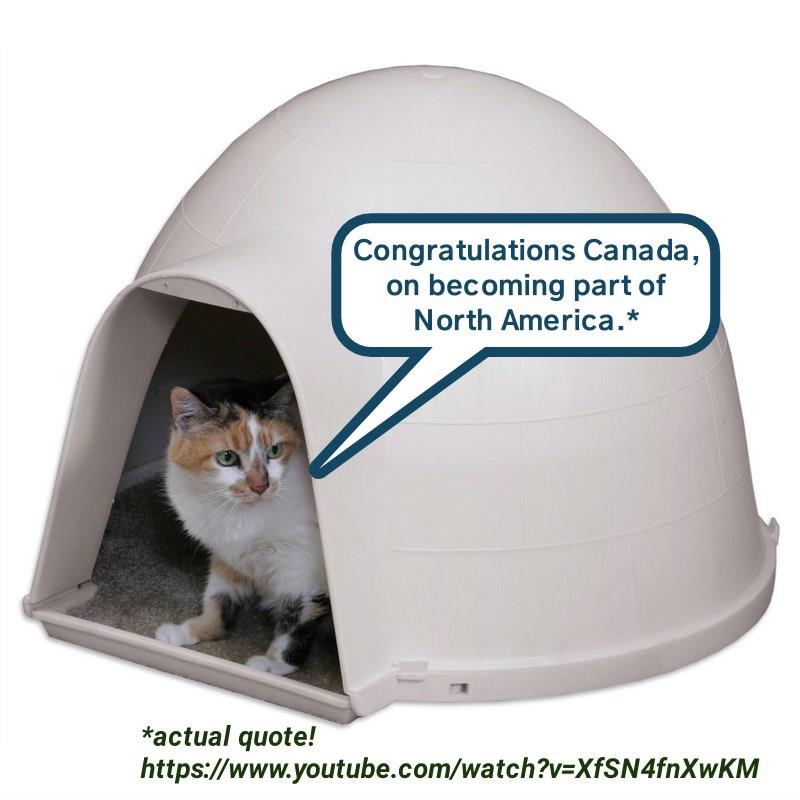 From the "Talking with Americans" series - Lolcats - lol | cat memes ...
