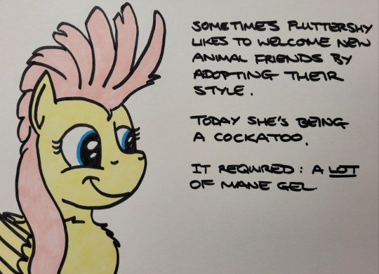 Birb - My Little Brony - my little pony, friendship is magic, brony ...
