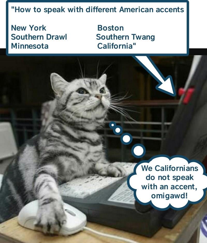 We speak purrfectly - Lolcats - lol | cat memes | funny cats | funny ...