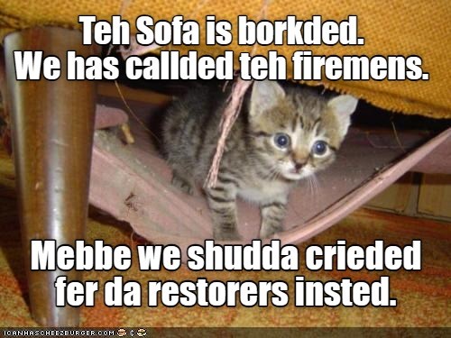 Teh Sofa is borkded. - Lolcats - lol | cat memes | funny cats | funny ...