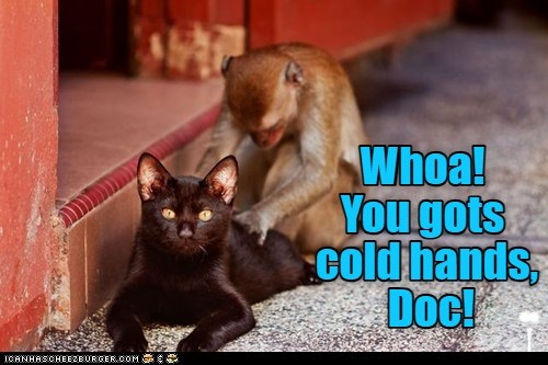 A dreaded part of every man's yearly exam. - Lolcats - lol | cat memes ...