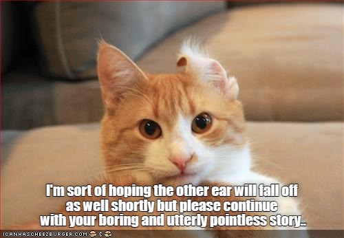 A little known defense mcchanism - Lolcats - lol | cat memes | funny ...