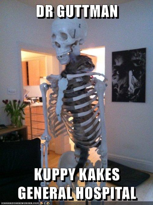 General skeleton - Lolcats - lol | cat memes | funny cats | funny cat ...
