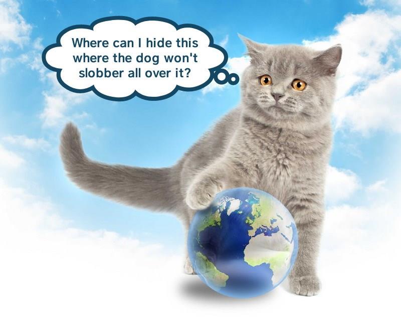 Save the world - Lolcats - lol | cat memes | funny cats | funny cat ...