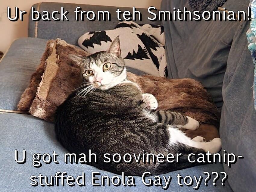 I only asked for one thing - Lolcats - lol | cat memes | funny cats ...