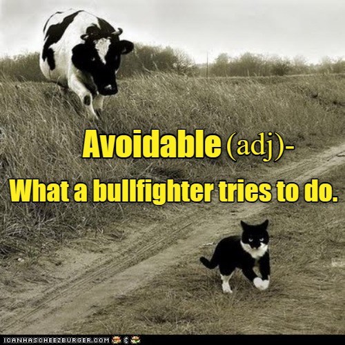 Daffynition- Avoidable - Lolcats - lol | cat memes | funny cats | funny ...