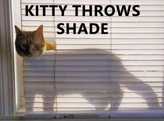 She's a shady lady - I Can Has Cheezburger?